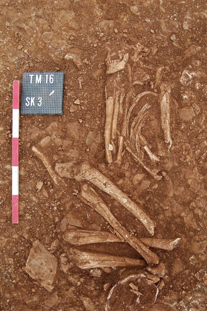 Stone Age 'cult' henge site and human remains discovered near Stratford ...