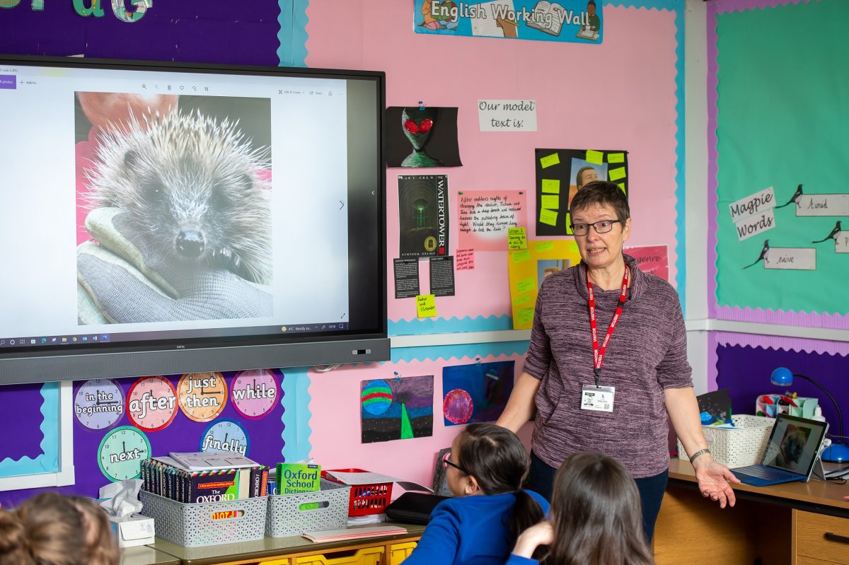 Warwickshire school children learn about hedgehogs - The Stratford Observer