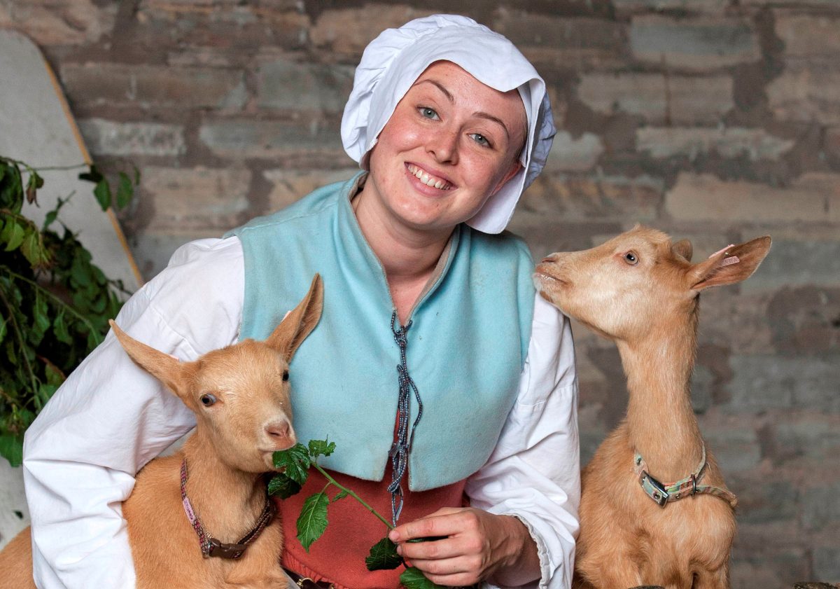 Experience life as a Tudor at Mary Arden's Farm this summer - The ...