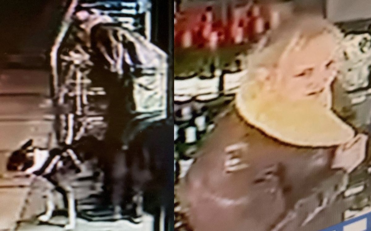 CCTV images released following dog attack in Henley - The Stratford ...