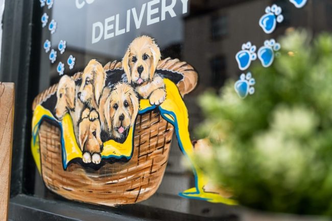 Cafe window gets Guide Dogs inspired transformation - The Stratford ...