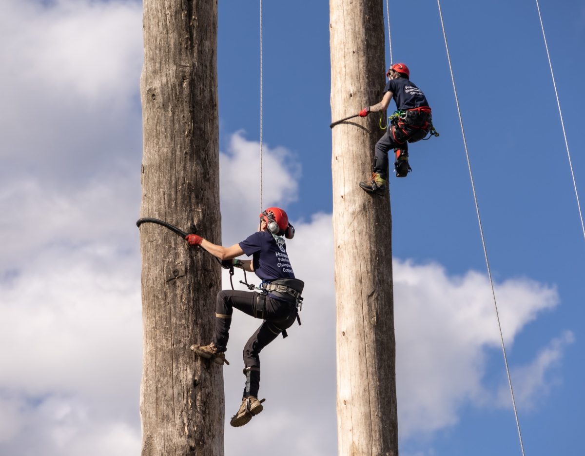 Poleclimbers to run rings around the competition in Alcester - The ...