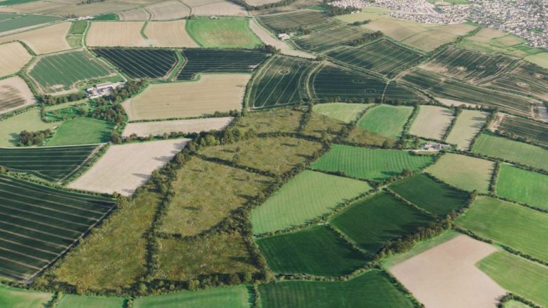 Shipston biodiversity to get a boost thanks to two new habitat banks ...