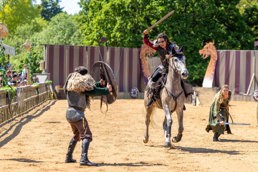 Vikings invade Warwick Castle - The Stratford Observer
