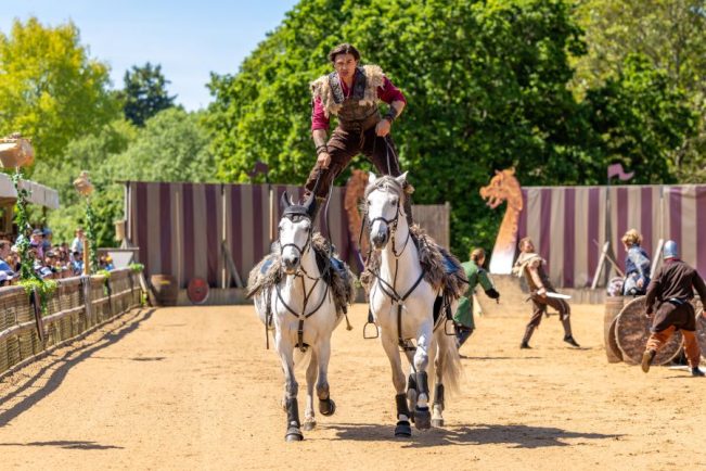 Vikings invade Warwick Castle - The Stratford Observer