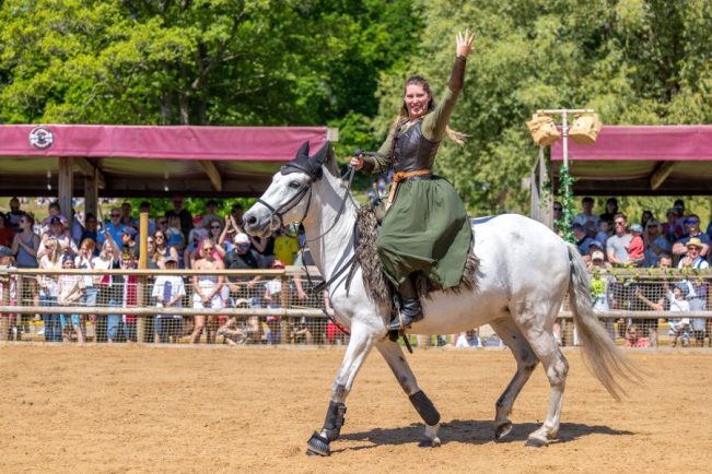 Vikings invade Warwick Castle - The Stratford Observer