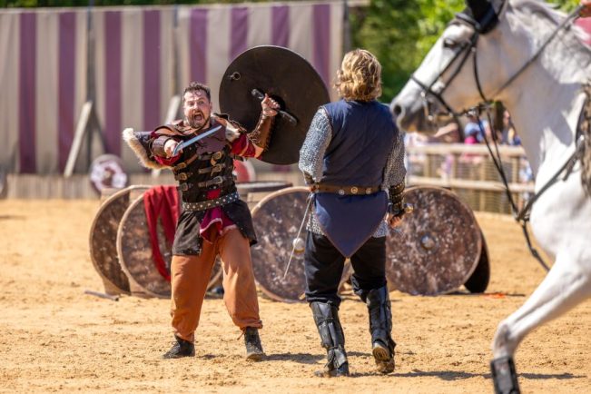 Vikings invade Warwick Castle - The Stratford Observer